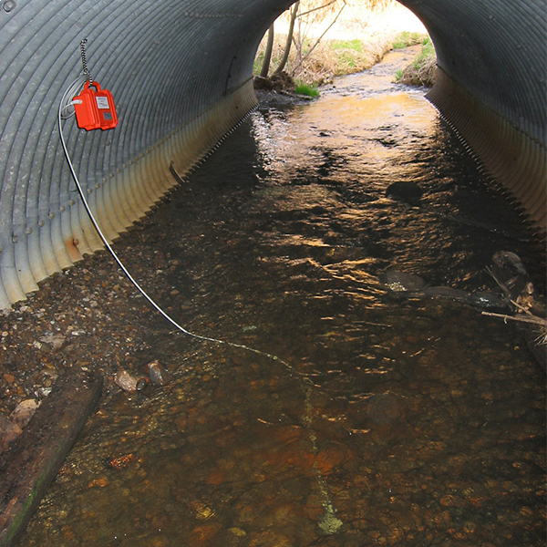 Stingray 2.0 Portable Level Velocity Logger - Maestro Asia Pte Ltd